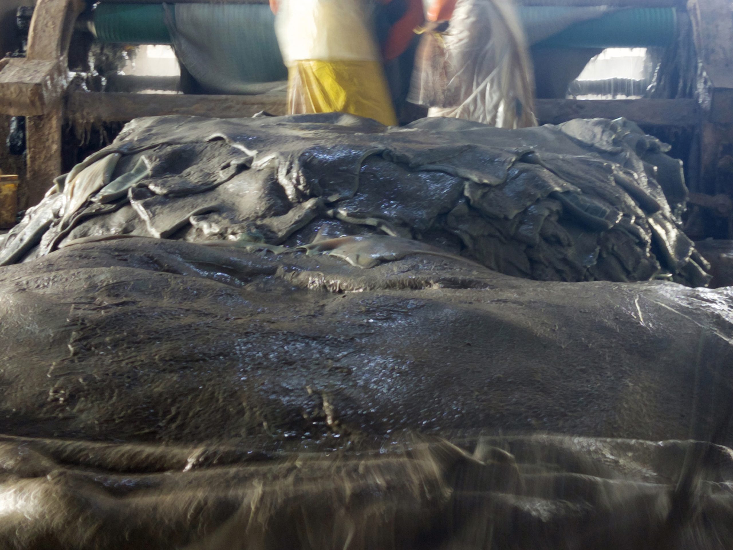 Tannery – Alig Tannery